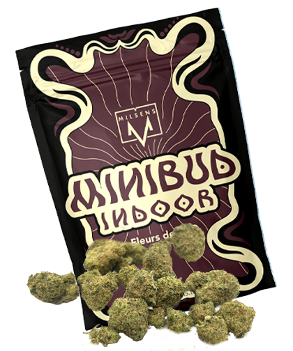 MINI BUD INDOOR